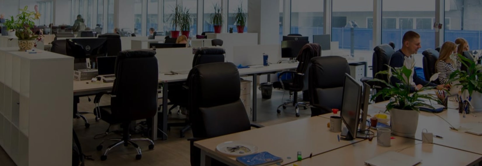 CheckMates — Services