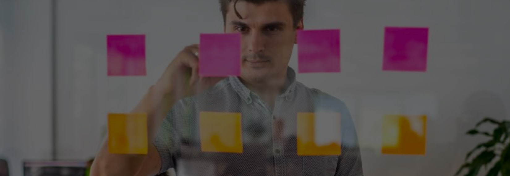 CheckMates — Services